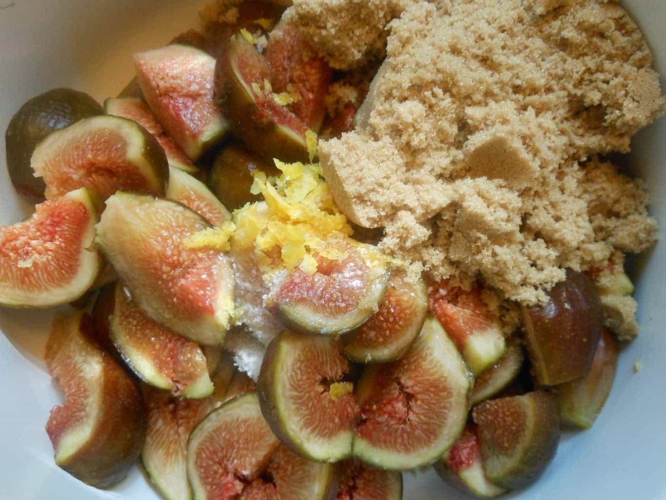 Fresh Fig Newtons - Sugar Dish Me